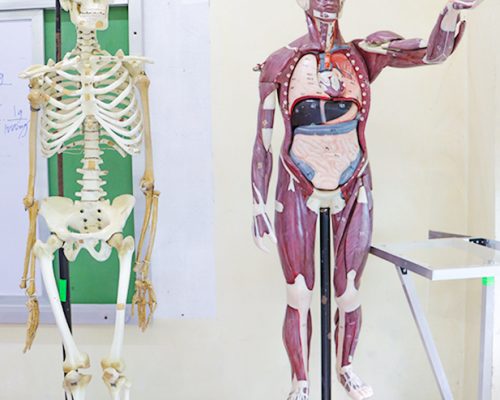 University Laboratories | Southern Luzon State University