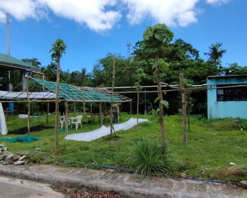 SLSU Infanta | Southern Luzon State University